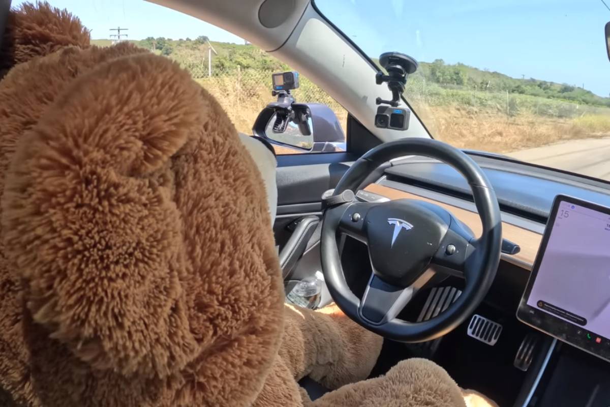Vidéo : Un ours en peluche conduit une Tesla